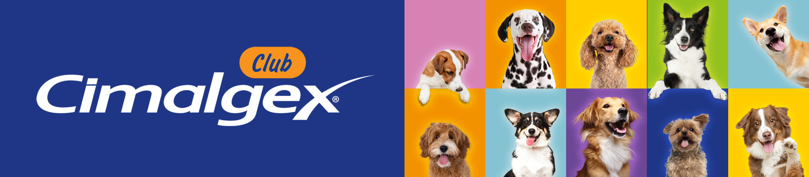 Club Cimalgex - Cimalgex UK